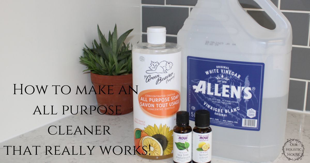 How to Make Homemade All Purpose Cleaner That Really Works! - Our ...